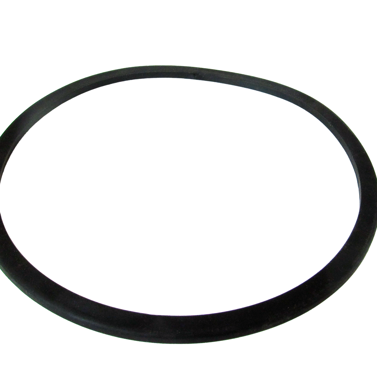 Binks PT-33-1 Lid Gasket, Santoprene